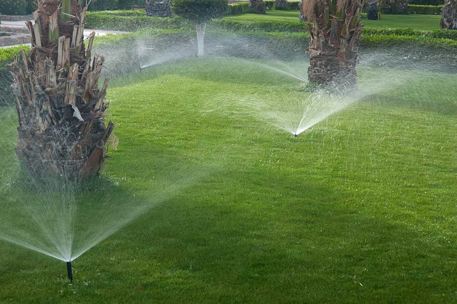 3 Essential Watering and Irrigation Tips for Gulf Coast Lawns ...